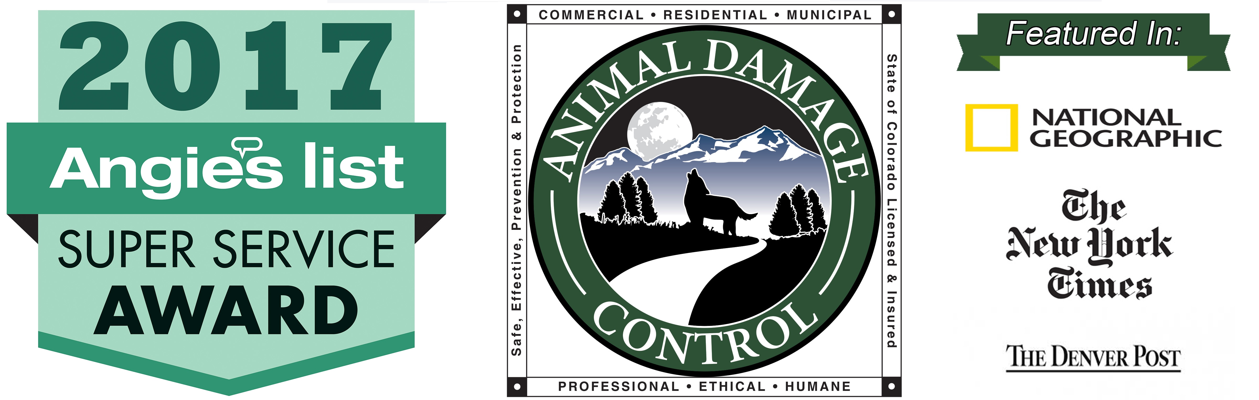 Squirrel Trapping Denver Colorado – Animal Damage Control